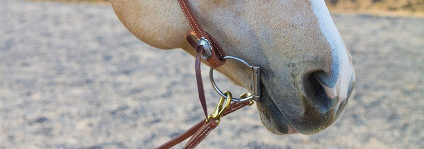 Western Tack – Greenhawk USA