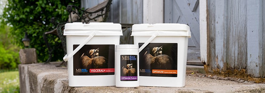 Vitamins – Greenhawk USA