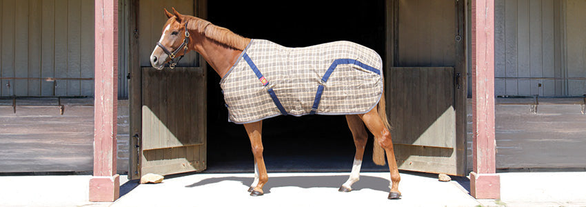 Curvon – Greenhawk USA