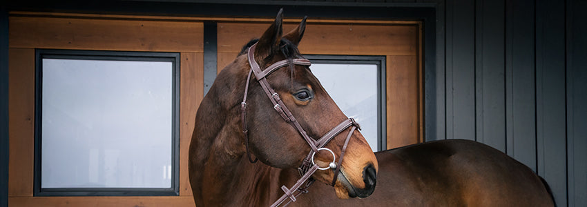 High Impact Tack – Greenhawk USA