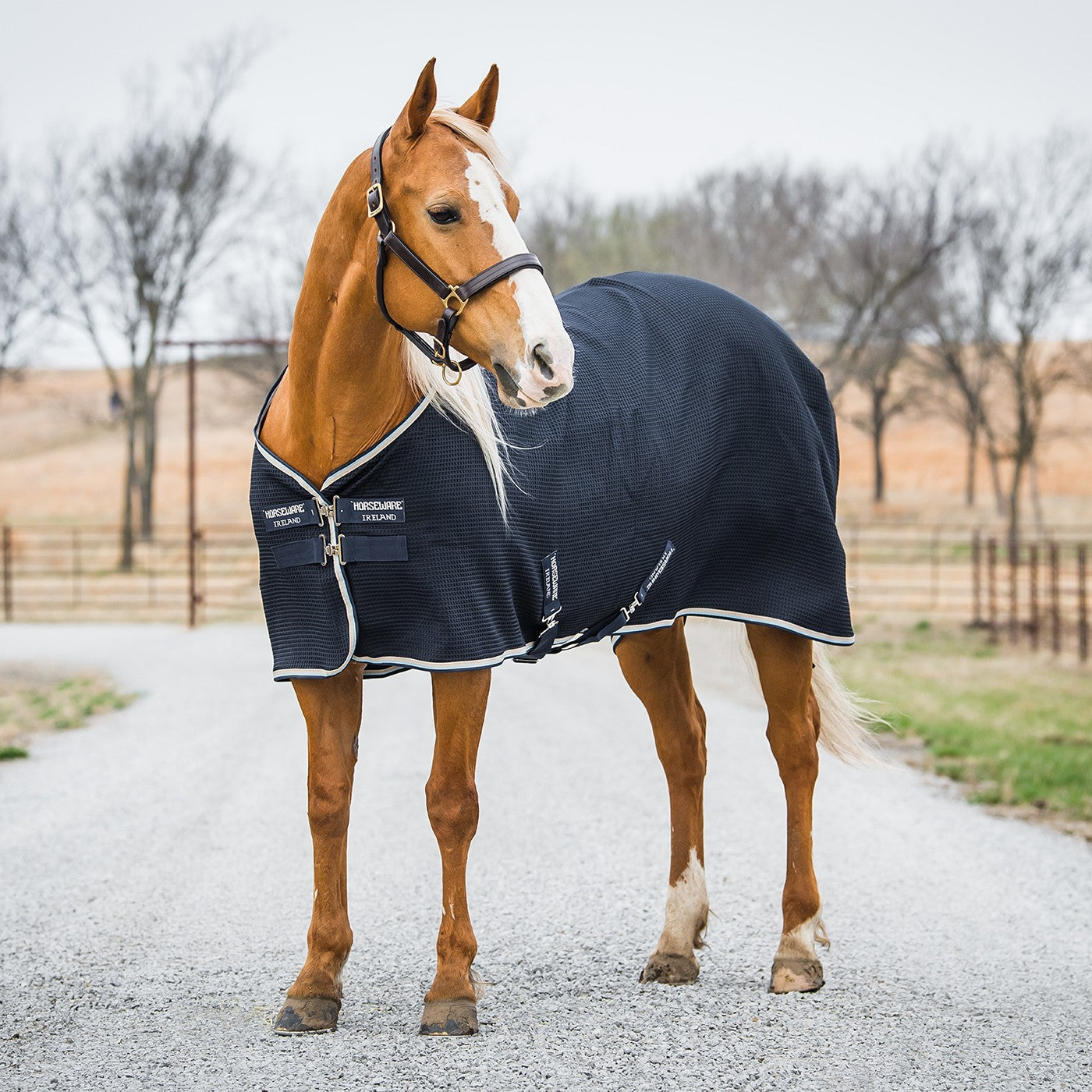 Rambo Techni Waffle Cooler – Greenhawk USA