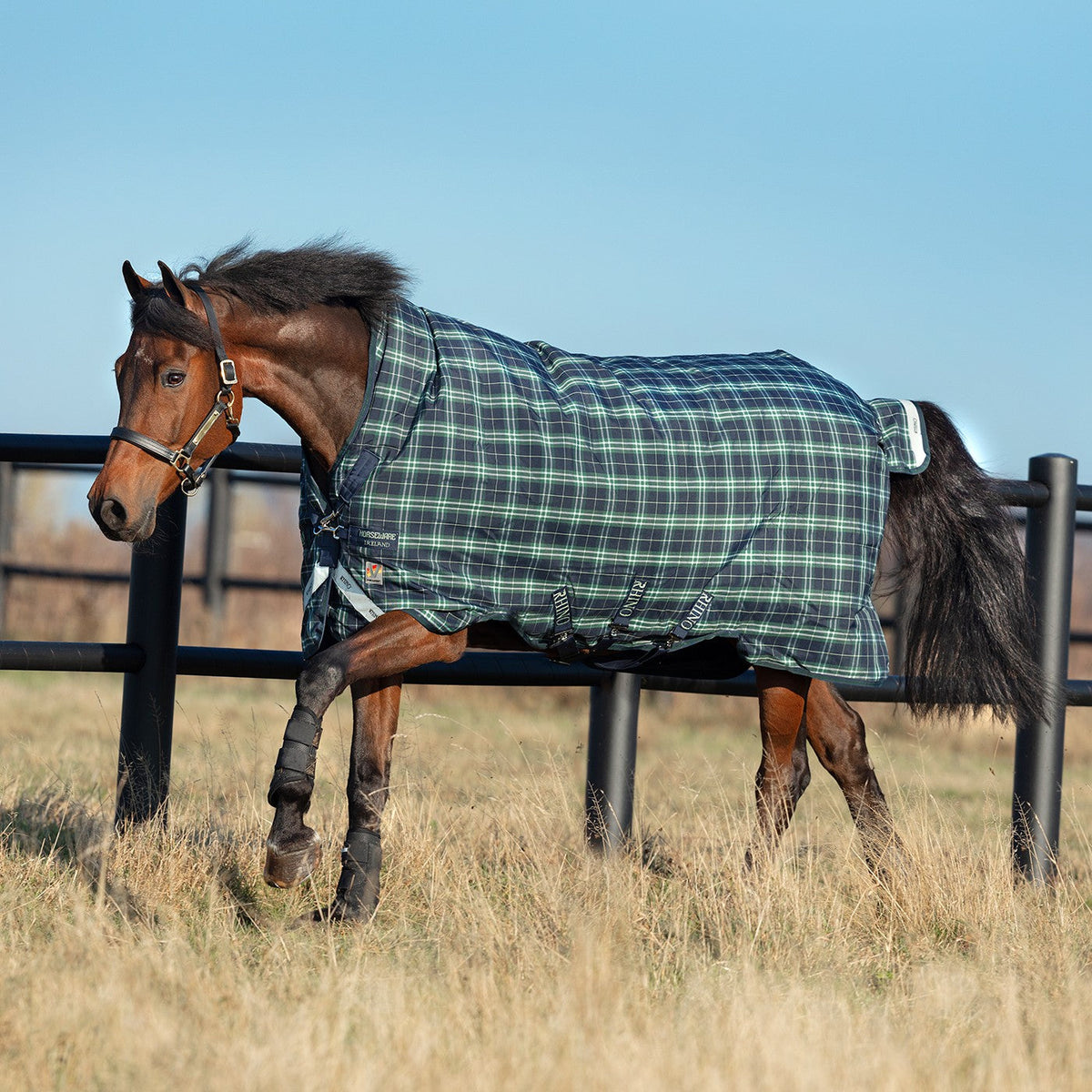 Rhino Wug Vari-Layer Medium Turnout Blanket 250 g – Greenhawk USA