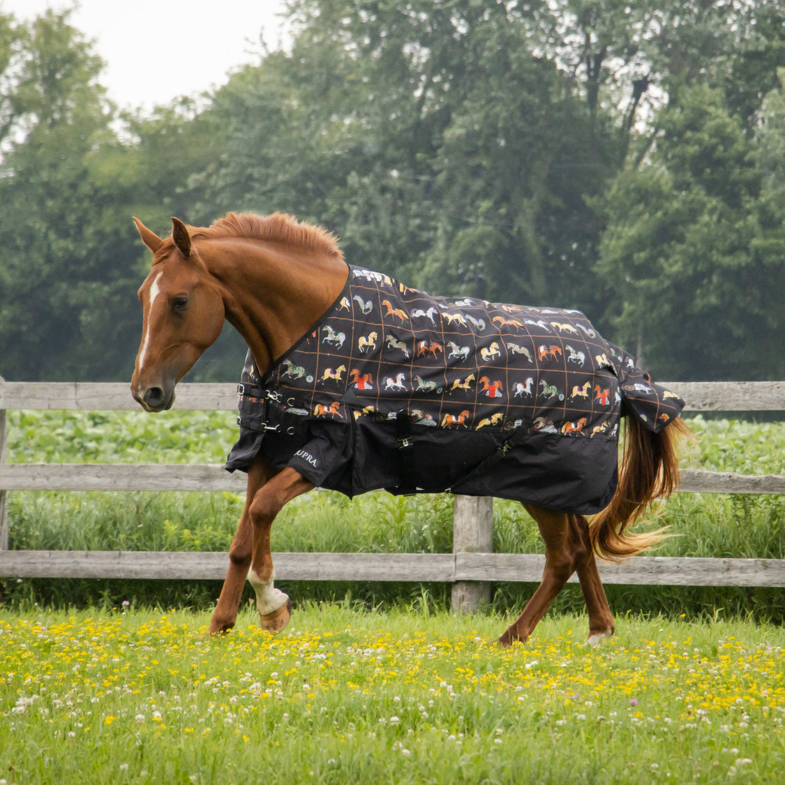 us.greenhawk.com – Greenhawk USA