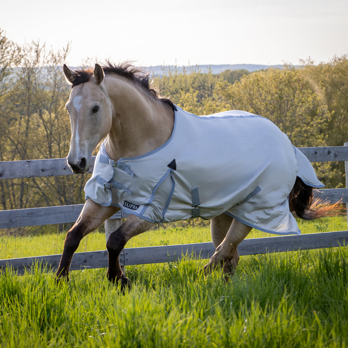 Supra Fly Sheet – Greenhawk USA