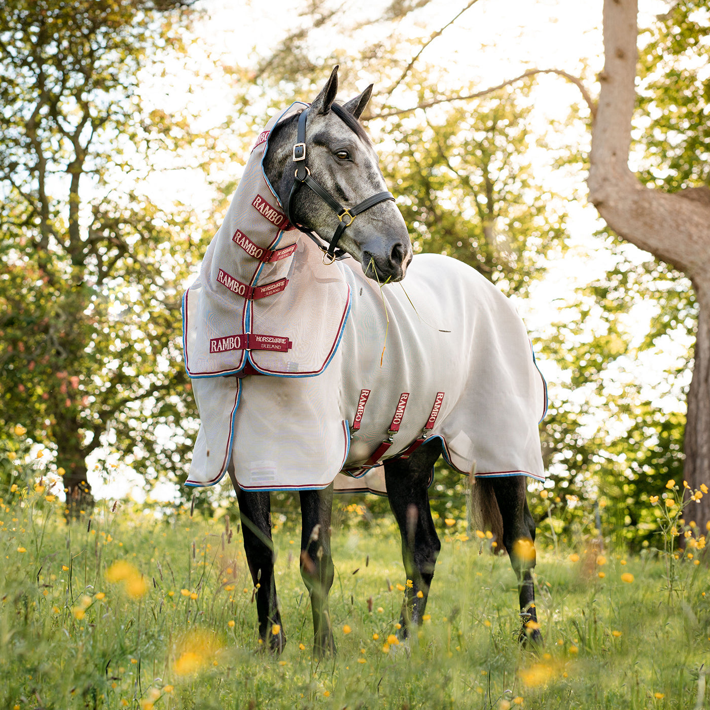 Rambo Protector Disc Front Fly Sheet – Greenhawk USA