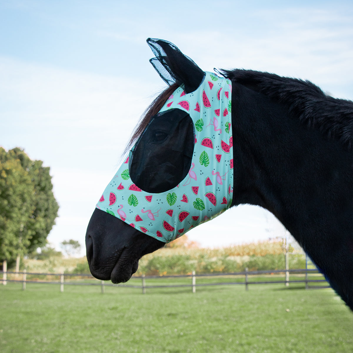 Supra Lycra Fly Mask W/ Forelock Hole – Greenhawk USA